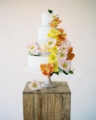 TOP 10 Wedding Cake Bakers in Colorado, US - WEDVIBES.MEDIA