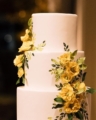 TOP 10 Wedding Cake Bakers in Colorado, US - WEDVIBES.MEDIA