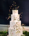 TOP 10 Wedding Cake Bakers in Colorado, US - WEDVIBES.MEDIA