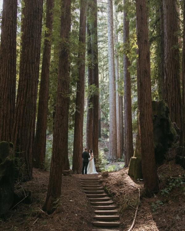 20 Best Forest Wedding Venues in the US - WEDVIBES.MEDIA